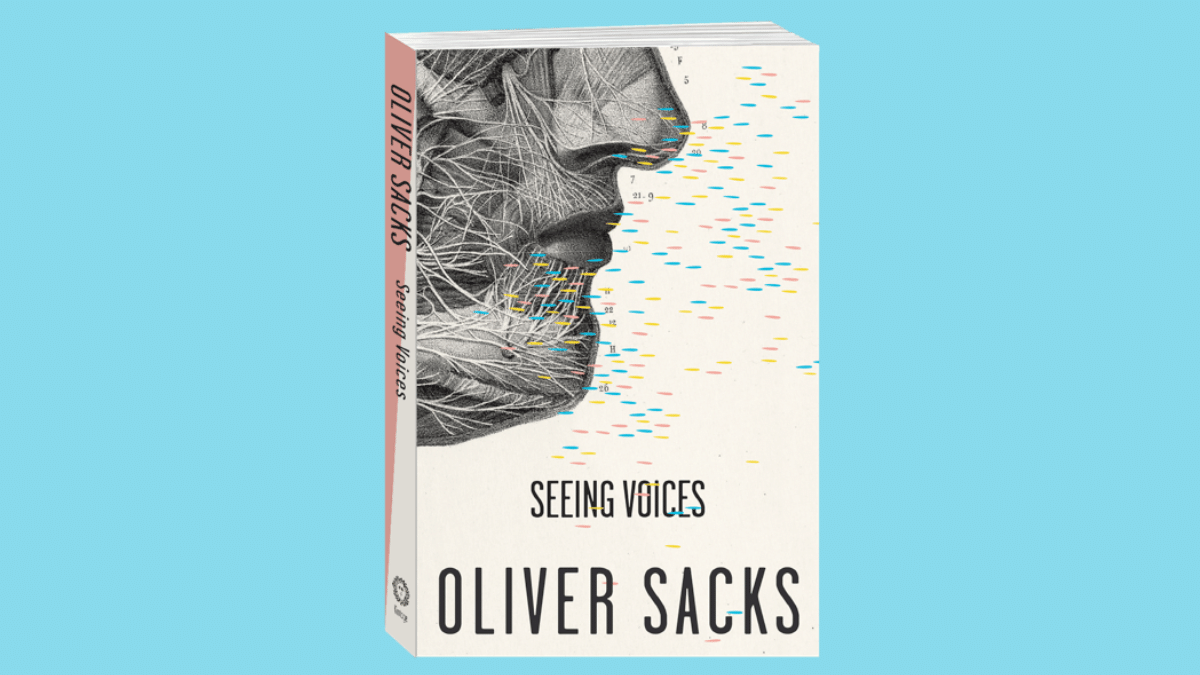 Seeing Voices We Hear Voices By Evie Green: 9780593098318